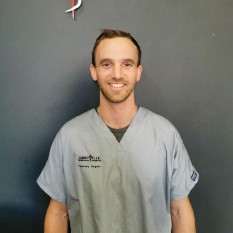 Veterinarian In Cork | Abbeyville Veterinary Hospital